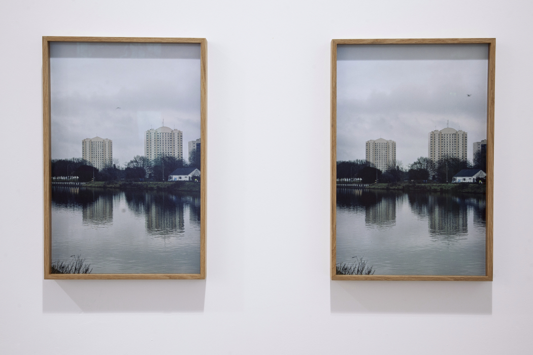Untitled (Bird I & II) – Foku